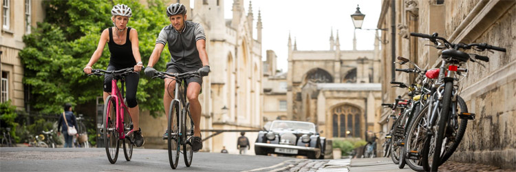 Marin, Whyte, Mongoose - Hybrid, Comfort, and Urban